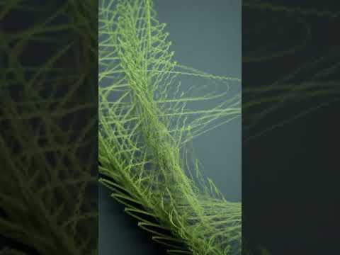 Threads | Cinema 4d | Unreal engine | field
