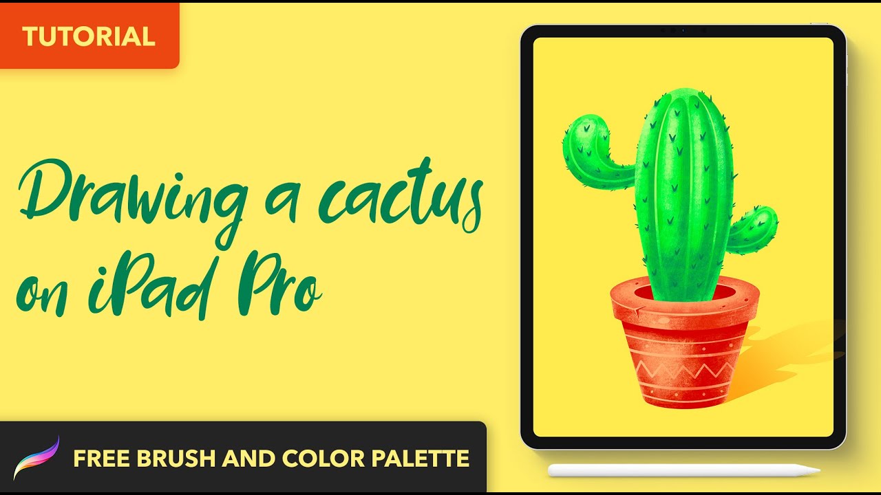 Cactus Drawing Tutorial | iPad Pro and Procreate for beginners