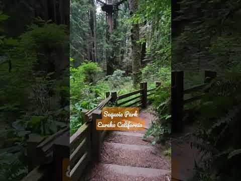 Living in Eureka Ca๐ The Park