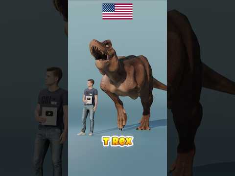 Dinosaurs Found In Different Countries | Velociraptor Vs Argentinosaurus