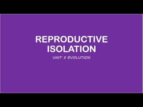 AP Biology: Reproductive Isolation