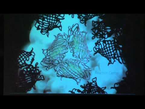 Learning from nature: Bacterial light-harvesting antennas