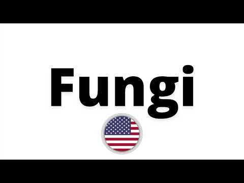 How do you pronounce Fungi