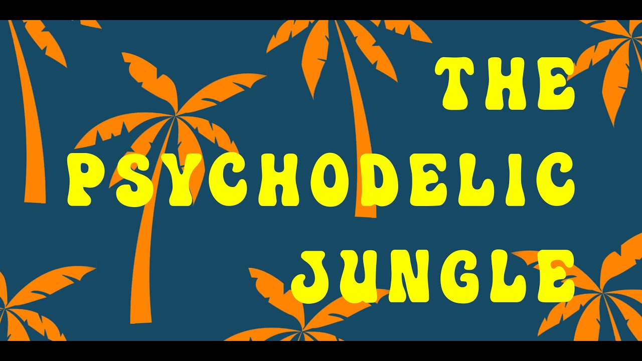 THE PSYCHODELIC JUNGLE a surf film in Indonesia
