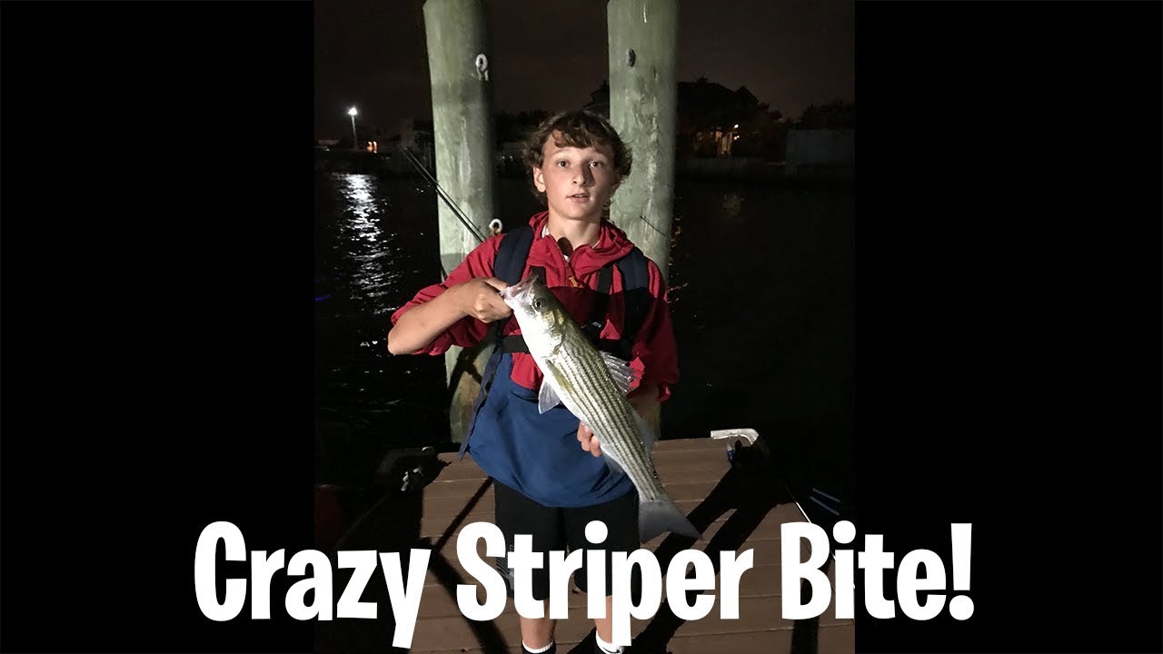 Striper Fishing Under The Lights!! Longport NJ 2018