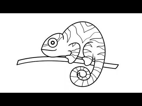 Baby Sensory Black and White for Brain Development