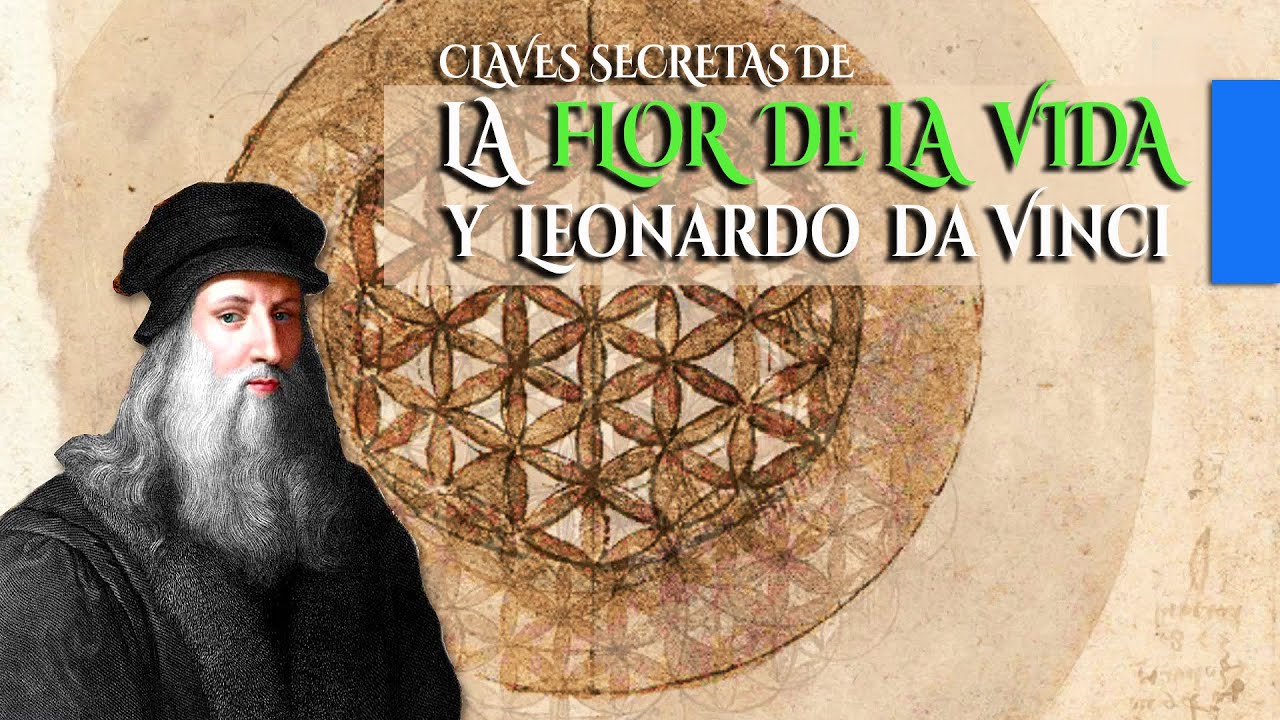 What does the FLOWER of LIFE mean?