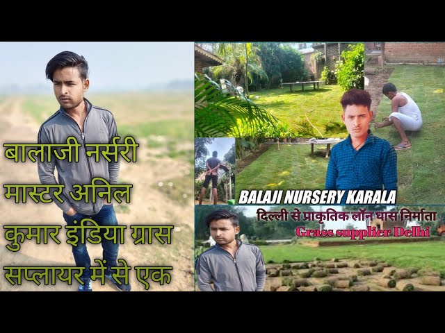 Bermuda Grasses - Fast Growth Durva (Dub Ghas) Manufacturer from New Delhi