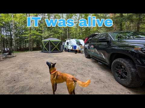 Incredible Lakeside Campground that was empty | Teardrop Camping in a Magic Forest