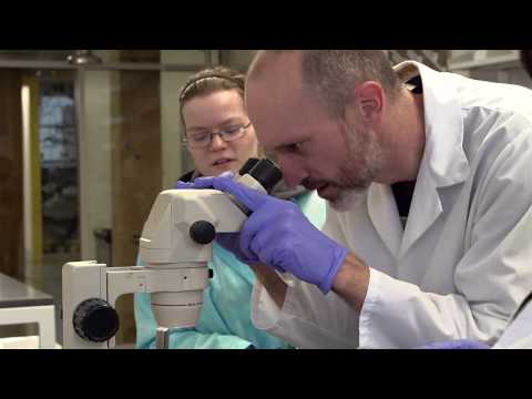 The Division of Science and Mathematics at UWT