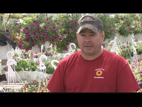 Frailey's Greenhouse
