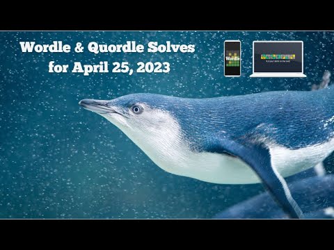 Wordle and Quordle of the Day for April 25, 2023 ... Happy World Penguin Day!