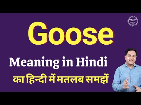 Goose meaning in Hindi | Goose ka matlab kya hota hai