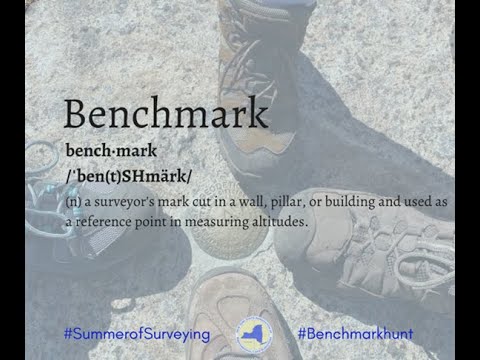 What is the Purpose of Benchmarks?