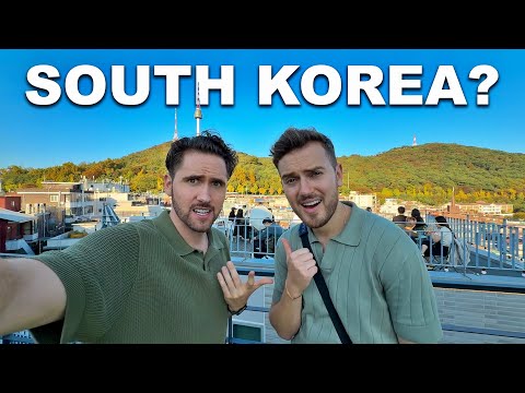 We Finally Returned to KOREA (hosting a group trip)