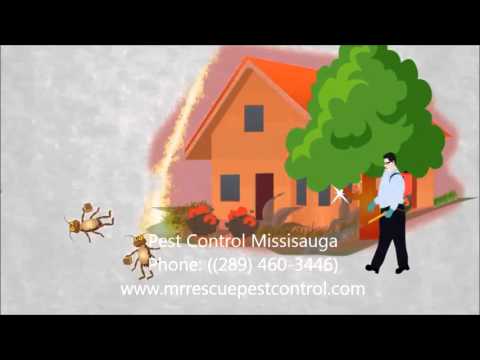 Mr Rescue Pest Control