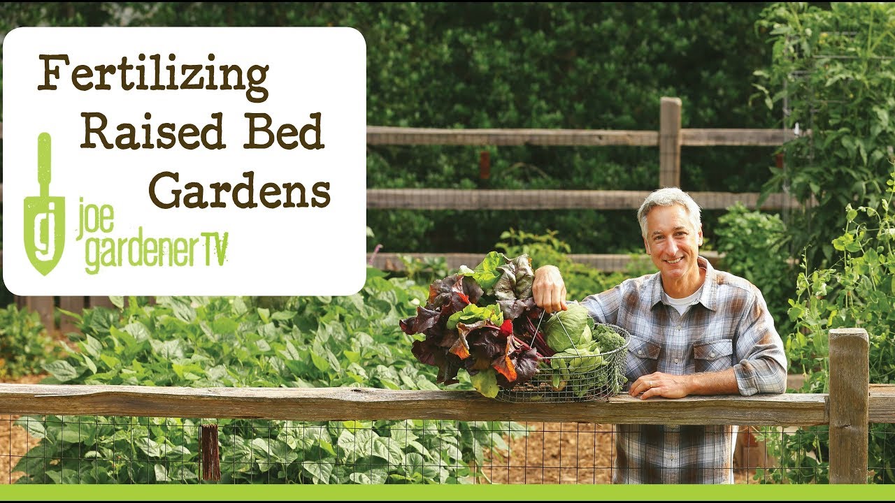 Fertilizing Raised Bed Gardens
