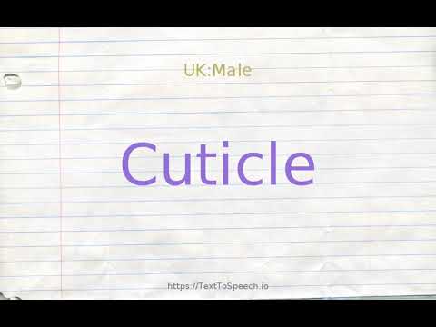 How to pronounce cuticle