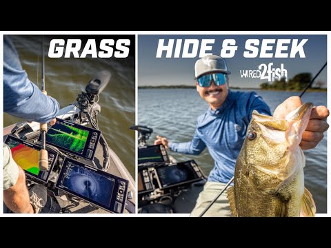 Uncovering Hidden Bass Spots in Grass with Electronics