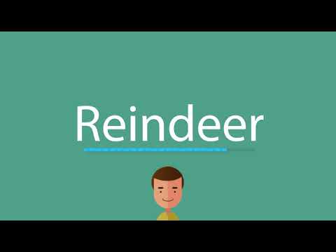 Reindeer pronunciation