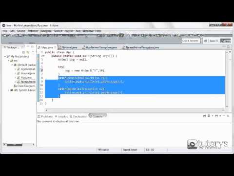 Learn How to manage several exceptions in Java - Mind Luster