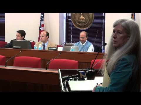 GA Gov't Transparency Campaign Finance Comm. 11/16/12 Part 1