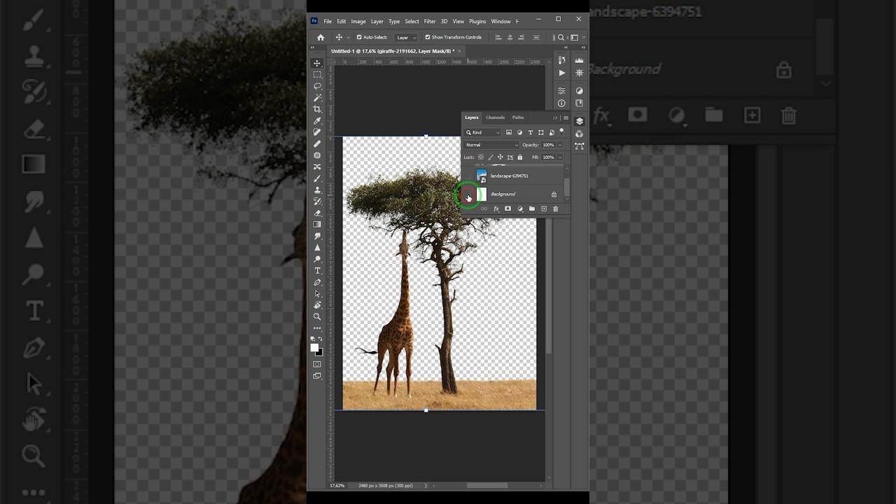 Cara hapus background pohon di Photoshop #photoshop #photoshoptricks