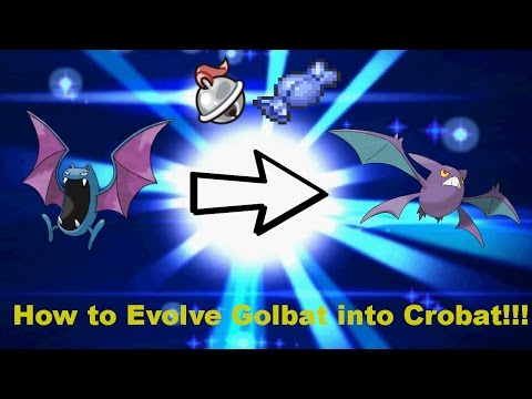 How to evolve Golbat into Crobat.