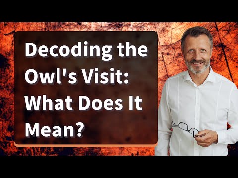Decoding the Owl's Visit: What Does It Mean?