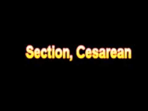 What Is The Definition Of Section, Cesarean Medical School Terminology Dictionary