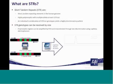 Life Technologies AuthentiFiler™ PCR Amplification Kit