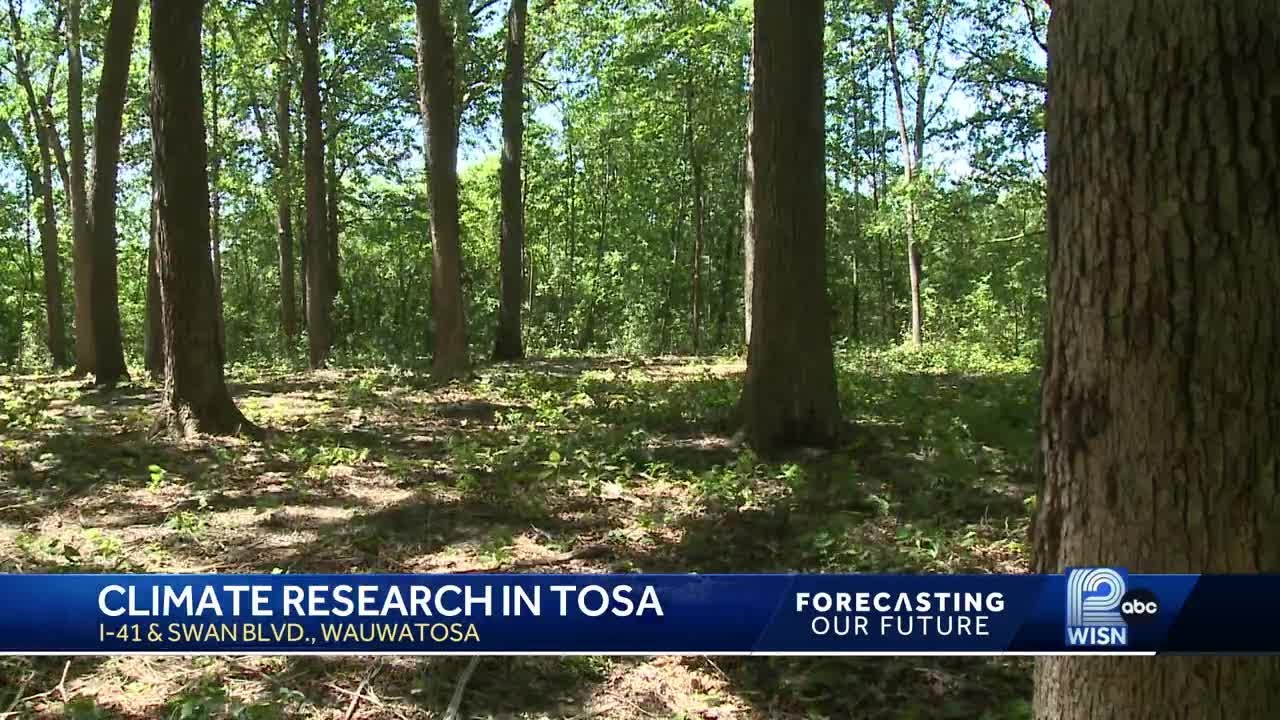 Climate adaptation research happening inside Wauwatosa forest
