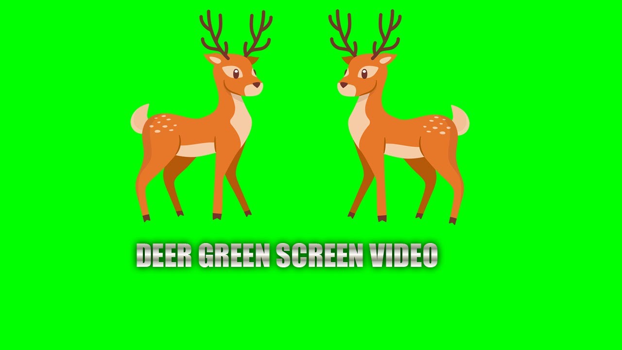 deer green screen |deer green screen video#shorts