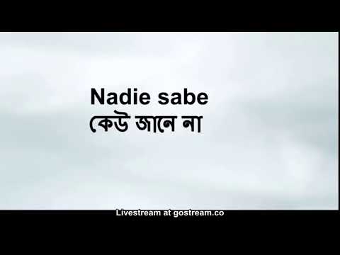 Some spanish words in bangla. Spanish to bangla