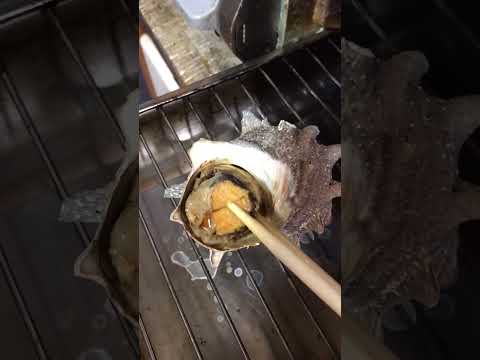 Turban shell (Sazae no tsuboyaki) cooked in its own shell taste so yummy #shorts