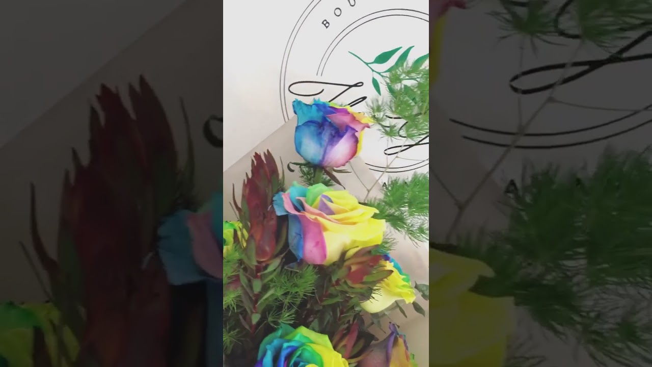 Rosas Arcoiris