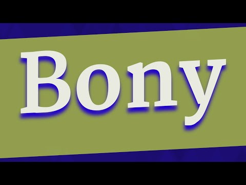 BONY pronunciation โข How to pronounce BONY