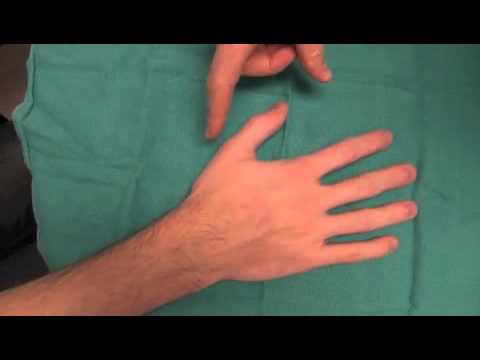 Overview of Hand Anatomy