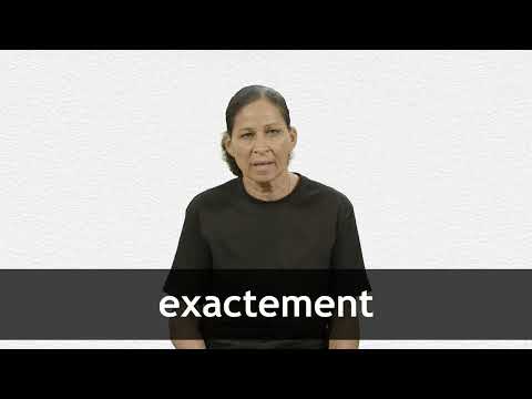 English Translation of “EXACTEMENT” | Collins French-English Dictionary