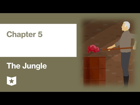 The Jungle Study Guide | Course Hero