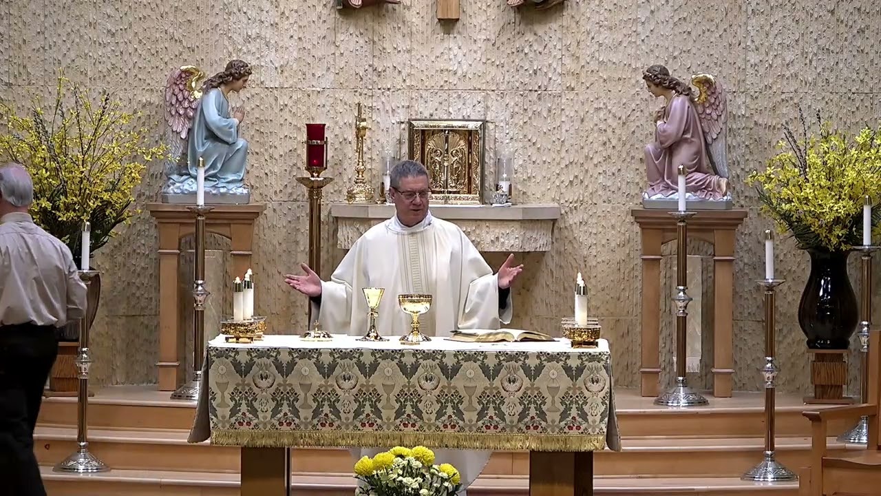 Daily Catholic Mass - May 08, 2026