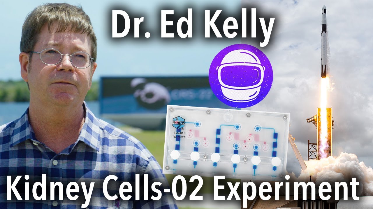 Interview with Dr. Ed Kelly | Kidney Cells-02 Experiment launched on CRS-22