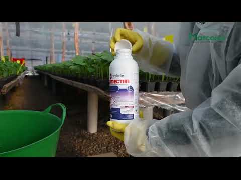 Bermectine 1L - 100ron