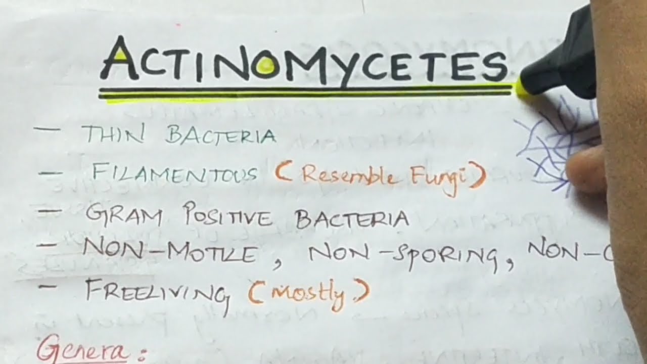 Actinomycetes | Micribiology | Handwritten notes
