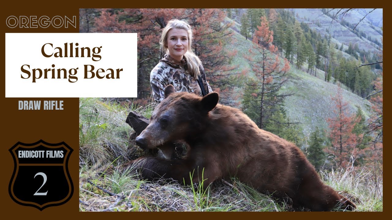 Calling Spring Bear |Rifle| Oregon