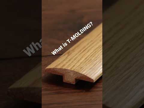 What is a T-MOLD? Flooring Quick Tip (Transition Molding)