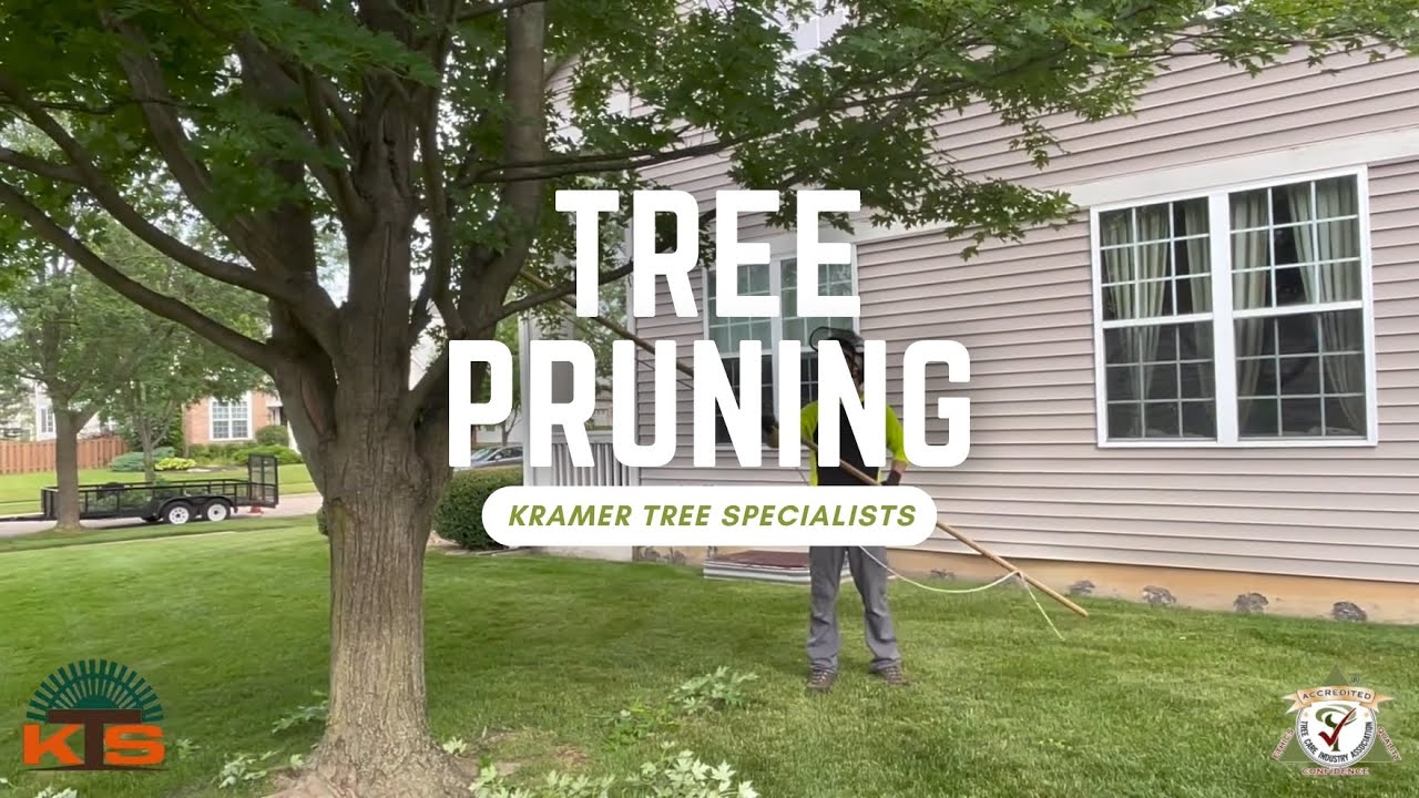KTS - Tree Pruning