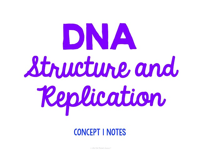 Understanding DNA Structure and Replication: A Comprehensive Overview | Galaxy.ai | Galaxy.ai