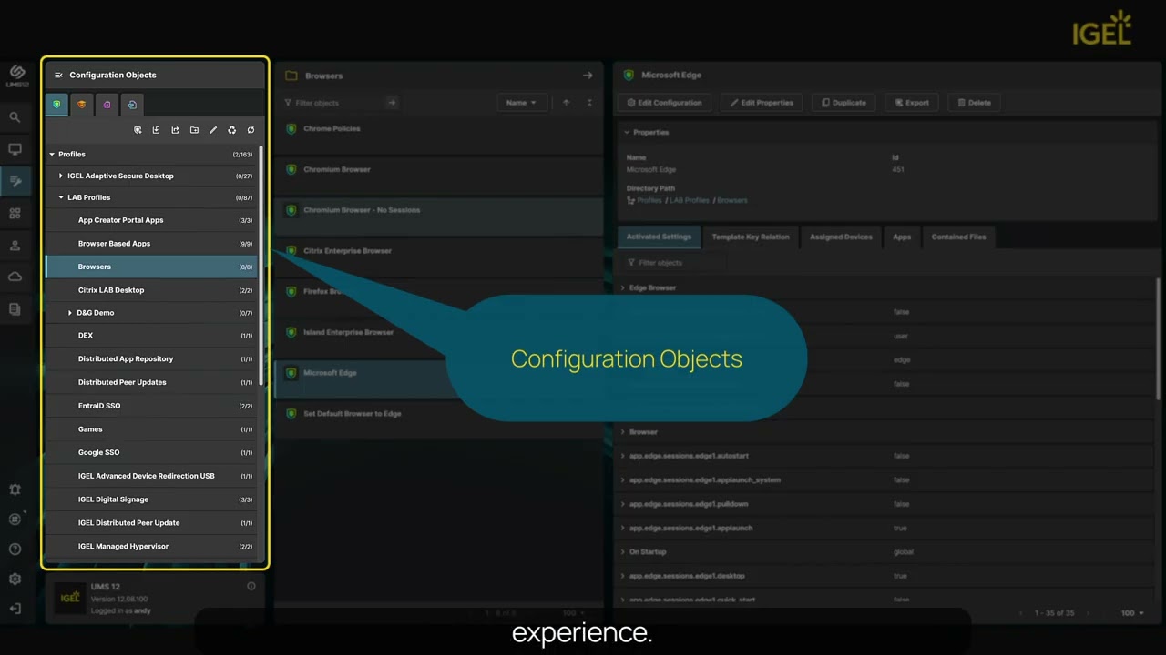 IGEL UMS Web Console Configuration Page Walkthrough | Dashboard Components Explained