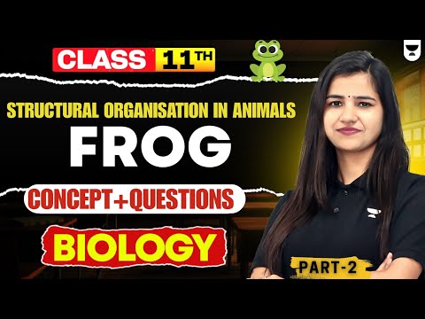 Class 11 Biology | Structural Organisation in Animals: FROG | Concept + Questions | CBSE 2025-26